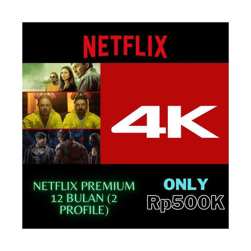 Jual Netflix Premium 12 Bulan Profile Private Di Seller ...