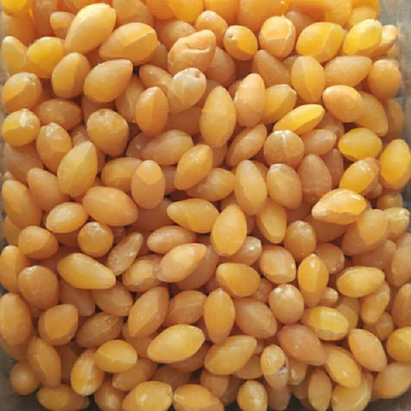 Promo 600gr Herbal Bai Guo Ginkgo Nut Ç™½æžœ Ginkgo Biloba - Ginko ...