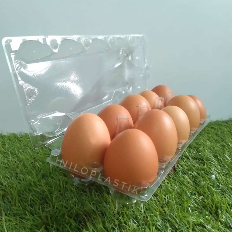 Jual Egg Plastik Mika 💯 Harga Murah & Kualitas Terbaik Januari 2026