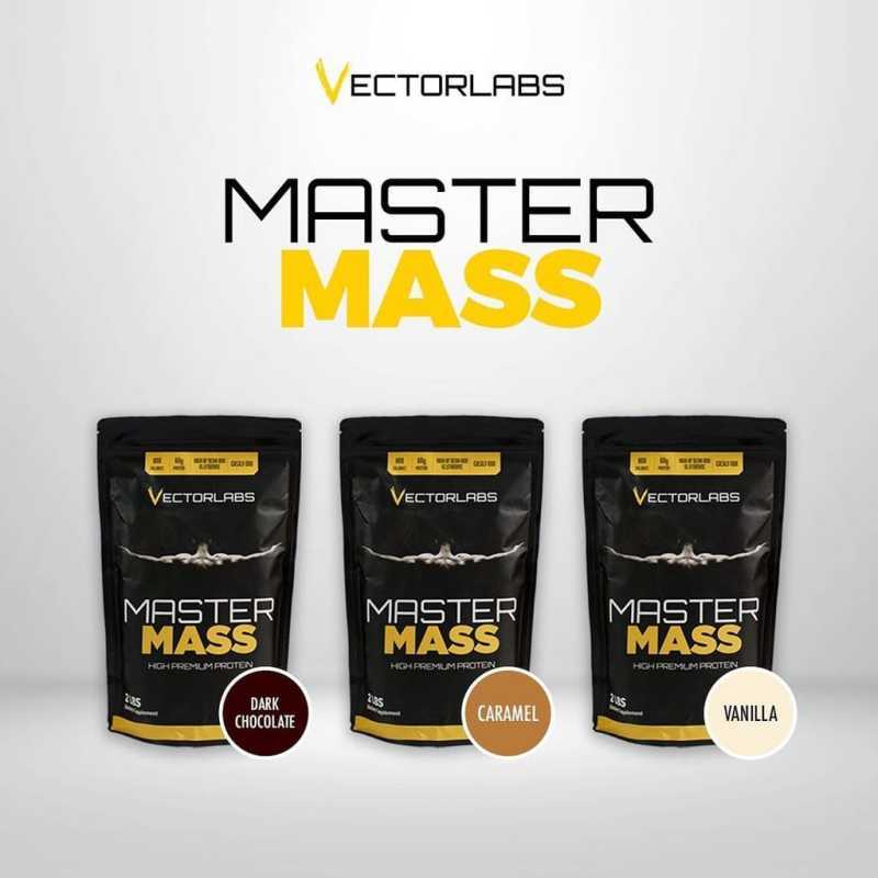 Jual Vectorlabs Master Mass Gainer 2lbs 900 Gram Susu Protein Penambah ...
