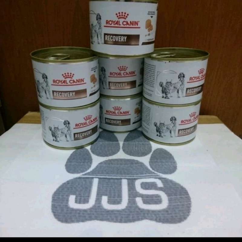 Jual Royal Canin Recovery Wet Food 195gr Makanan Basah Pemulihan ...