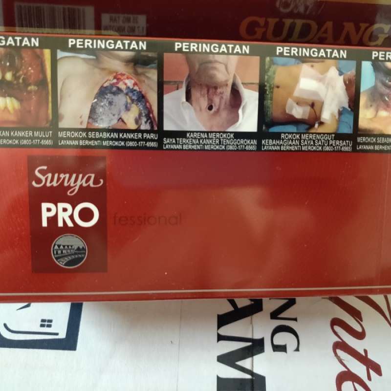 Jual Gudang Garam Surya Pro Merah 1 Slop Isi 10 Bungkus Di Seller Anes ...