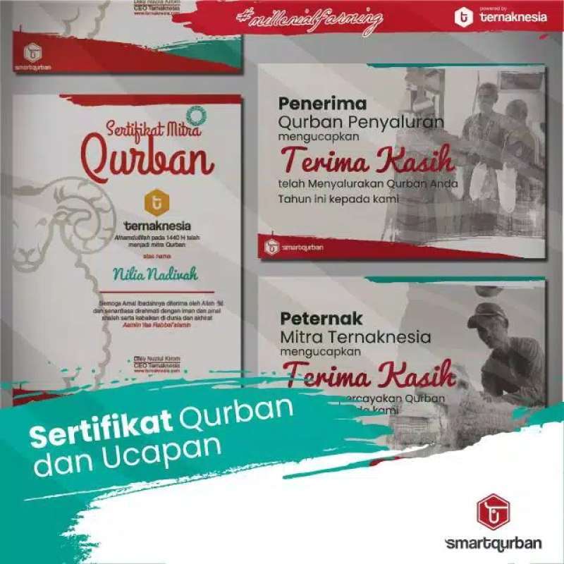 Jual Ternaknesia Qurban Sapi Reguler Di Seller Ternaknesia - Dr. Sutomo ...