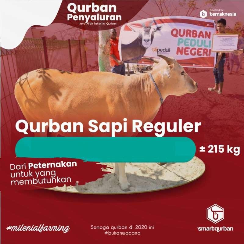Jual Ternaknesia Qurban Sapi Reguler Di Seller Ternaknesia - Dr. Sutomo ...