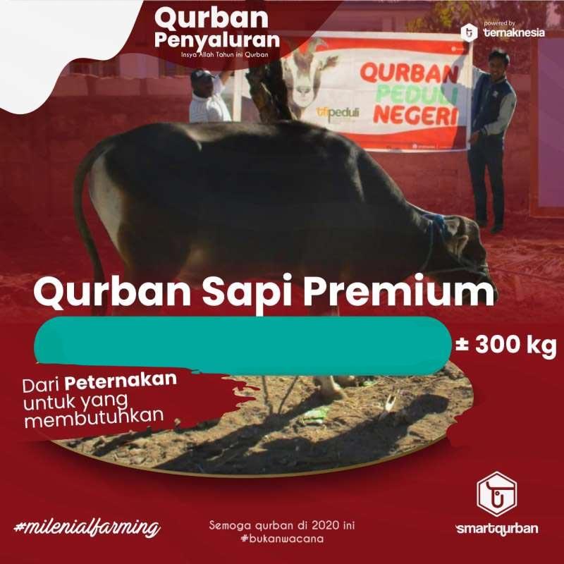 Jual Ternaknesia Qurban Sapi Premium di Seller Ternaknesia - Kota ...