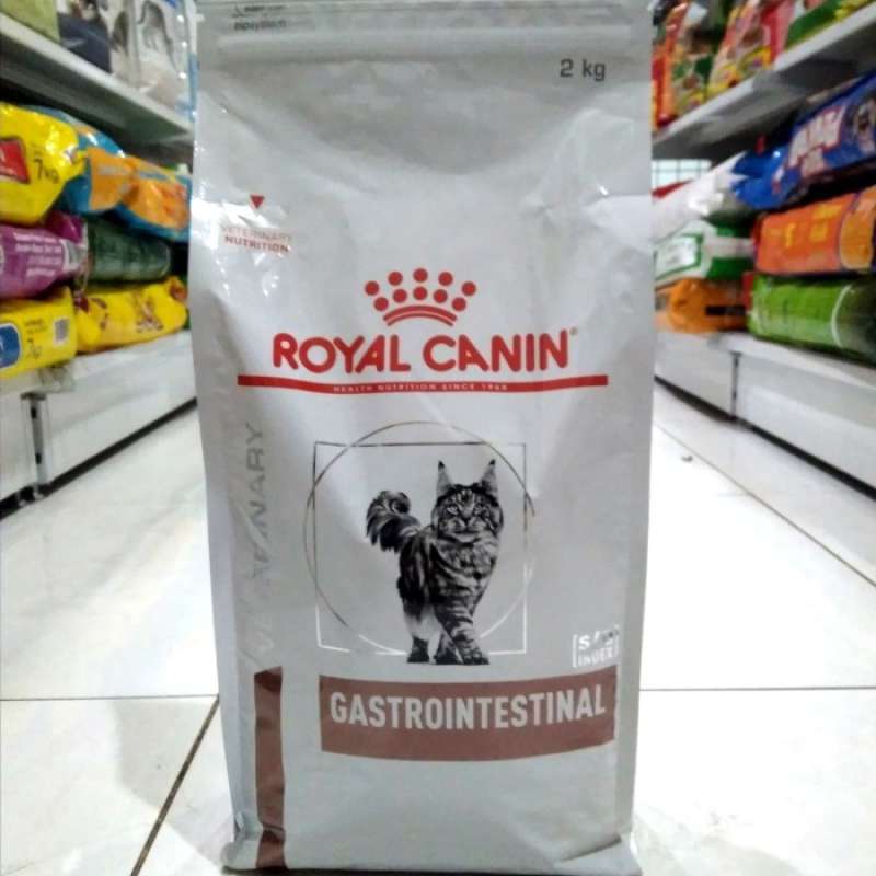 Promo Royal Canin Gastrointestinal Cat 2kg / Rc Gastro Intestinal 2kg ...