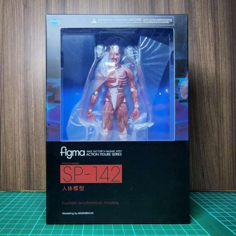 Jual figma Human Anatomical Model di Seller HSN OL SHOP - Nagarawangi ...