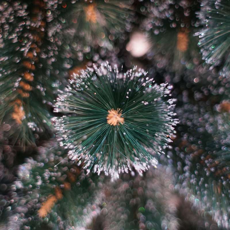 Promo Easy Decoration Pohon Natal Pinus Premium [90 Cm/ 3 Feet ...