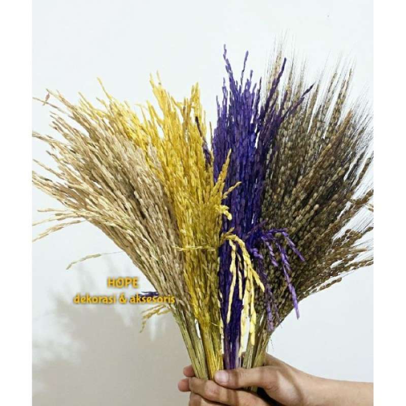 Promo VAS BUNGA PADI / DRIED PADI COCOK UNTUK HIASAN VAS BUNGA BUKET ...