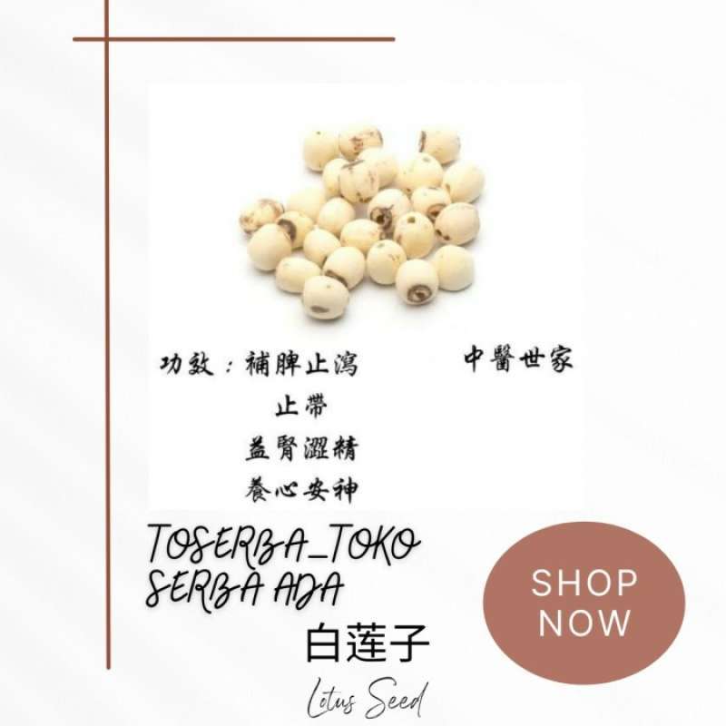 Jual Herbal Lian Zi èŽ²å­ Lotus Seed Grade A 100gr di Seller Humaira ...