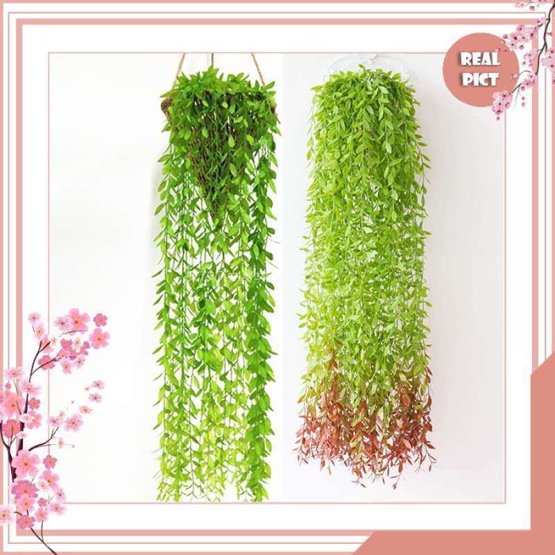 Jual Pot Bunga Kwan Im Terbaik Maret 2025 - Harga Murah & Gratis Ongkir ...