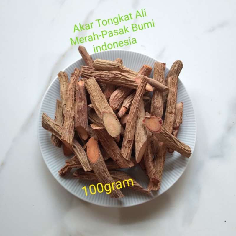 Jual 100gram Akar Tongkat Ali Merah Kalimantan/ Pasak Bumi Indonesia Di ...