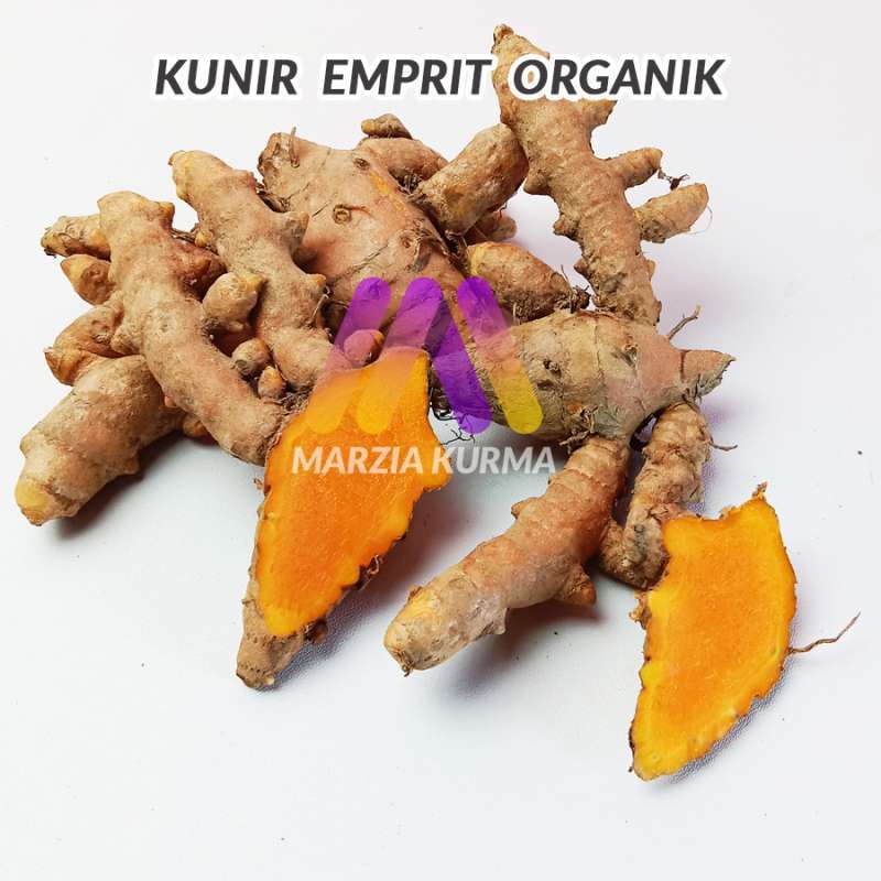 Jual Kunir Emprit atau Kunyit Jamu 500gr Organik - Asli Gunung Kidul di ...