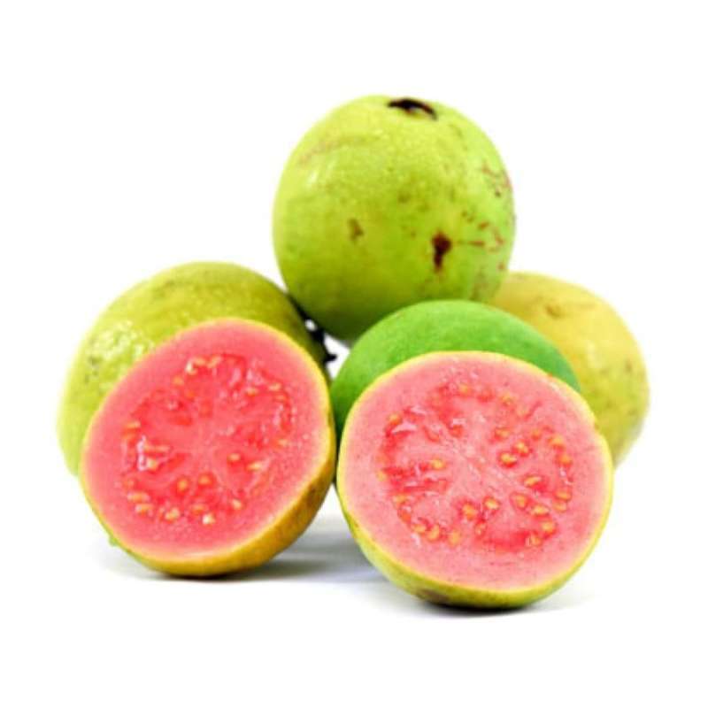 Jual Jambu Biji Merah Buah Segar [1 kg] di Seller Juragan Buah Medan ...