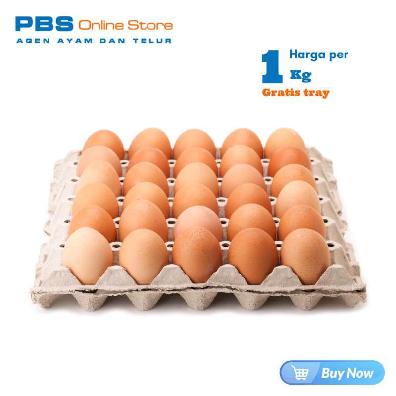 Jual Telur ayam negeri fresh 1 kg di Seller Pakuan Frozen Fresh - Kota ...