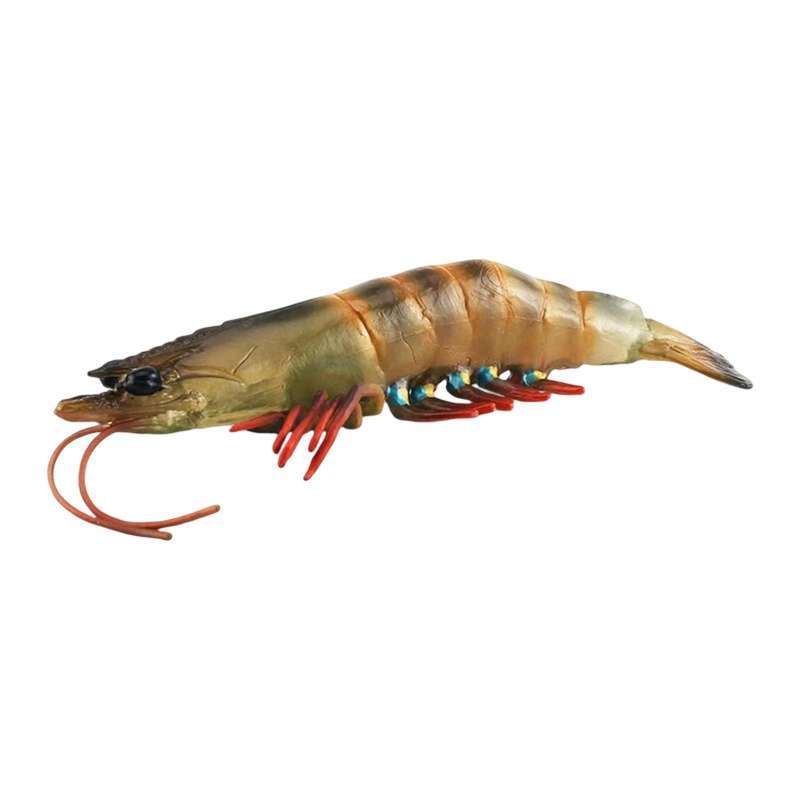 Jual Realistic Prawn Creatures Toy Figures Cognitive Early Learning For ...