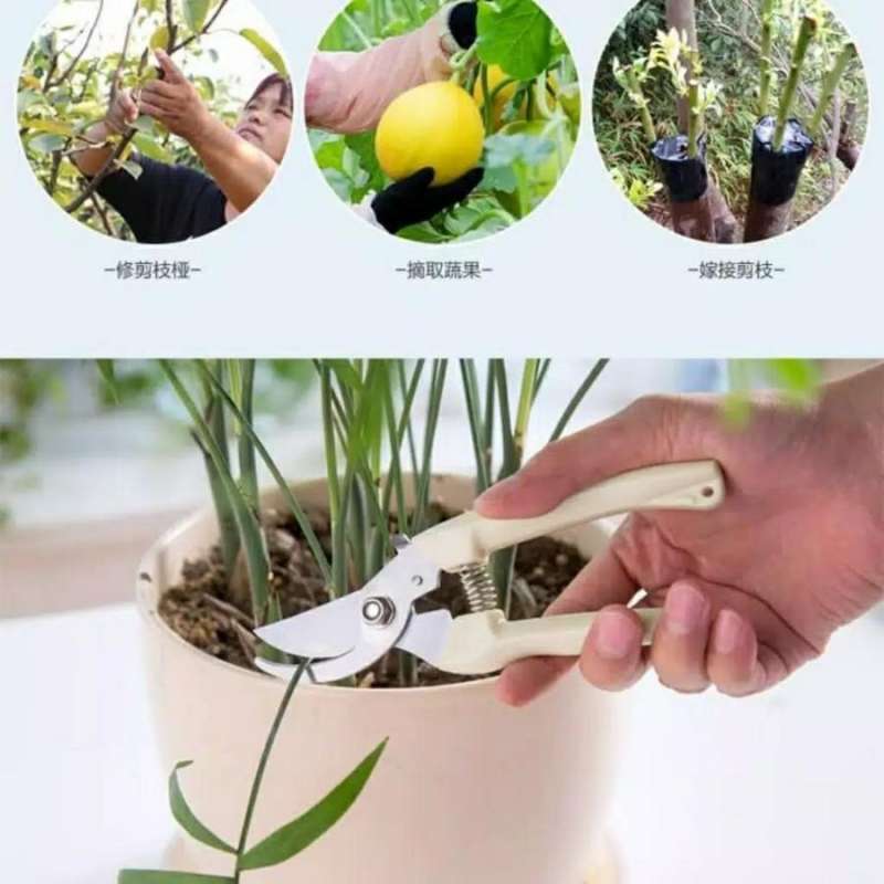 Jual Gunting Tanaman Dahan Ranting Daun Pruning Kebun Bunga Kayu Rumput ...