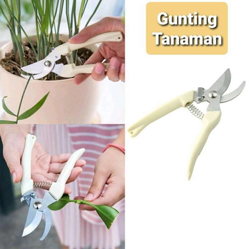 Jual Gunting Tanaman Dahan Ranting Daun Pruning Kebun Bunga Kayu Rumput ...