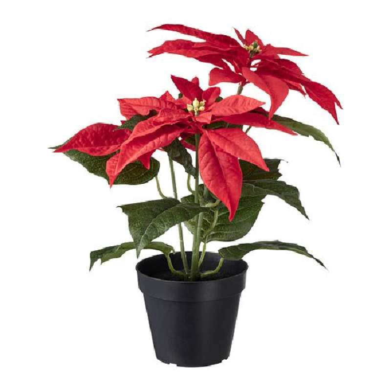Jual Ikea Tanaman Tiruan Dalam Pot Dalam luar Ruang Poinsettia - Merah ...