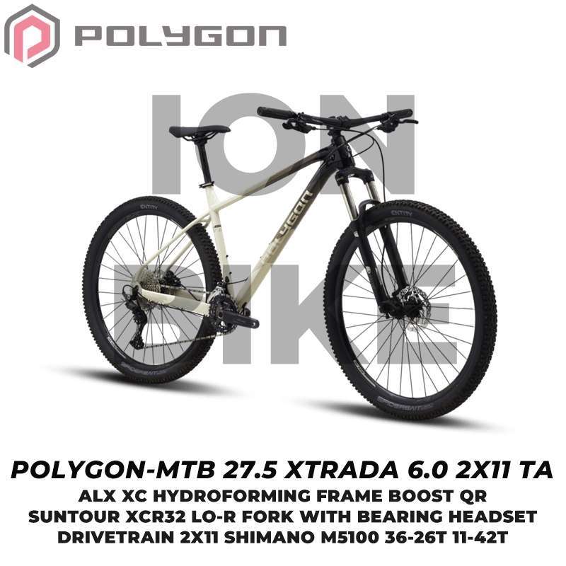 Jual Polygon Xtrada 6 2021 Original Terbaru - Harga Promo Murah Februari 2024 | Blibli