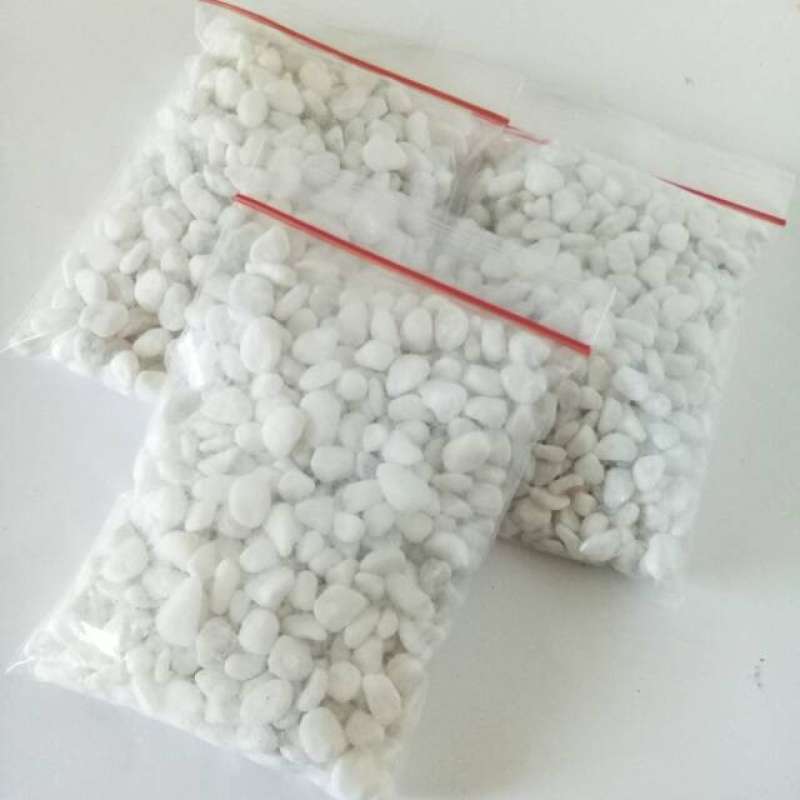Jual BATU KORAL CORAL PUTIH SALJU BATU KERIKIL ALAM WHITE ITALY POT ...