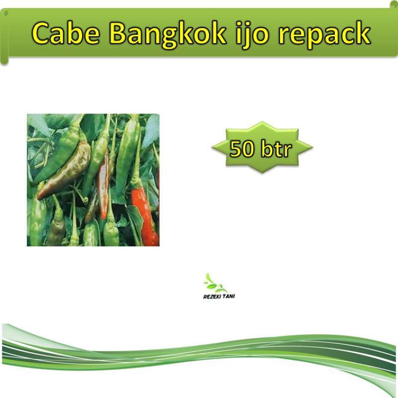 Jual Benih cabe rawit bangkok ijo repack 50 butir - Hijau di Seller ...
