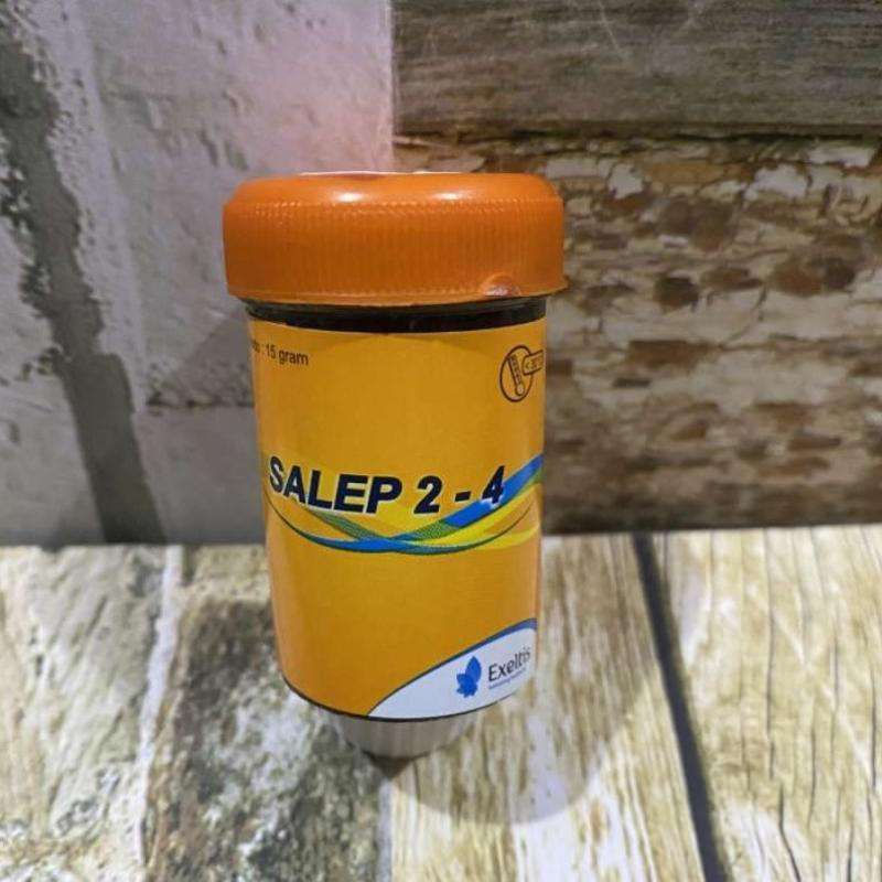 Jual Salep 24 Salep Kudis Salep 2 4 Original 15 Gram Di Seller Rave ...