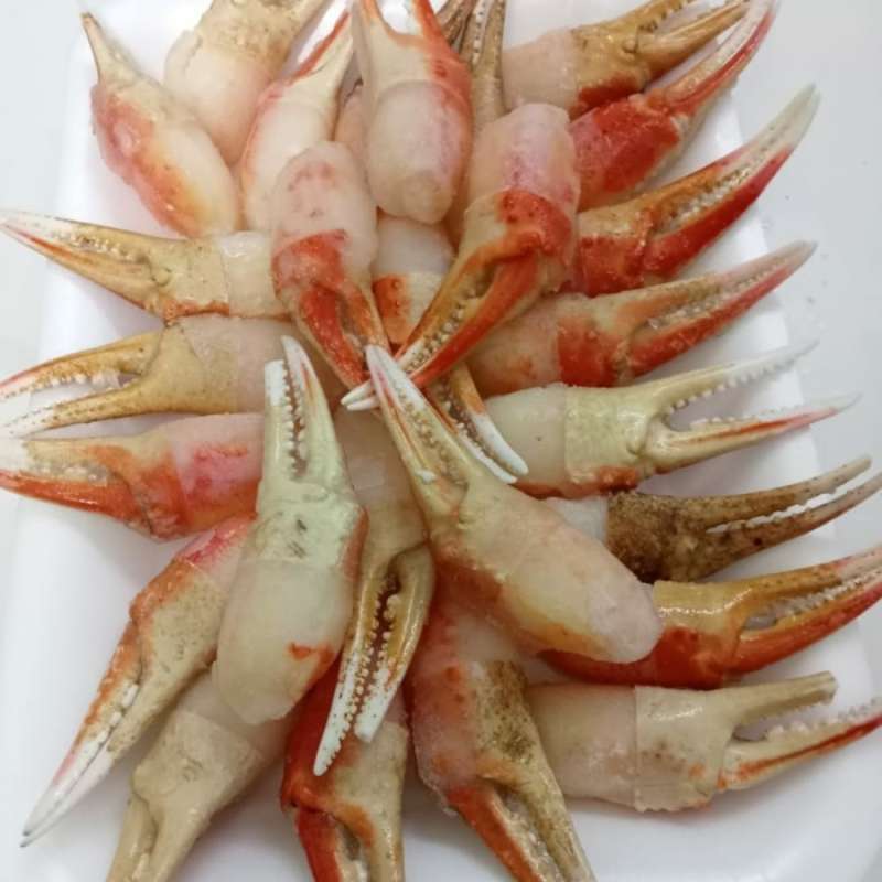 Jual DAGING CAPIT KEPITING ALASKAN SNOW CRAB 500 GRAM Halal di Seller ...