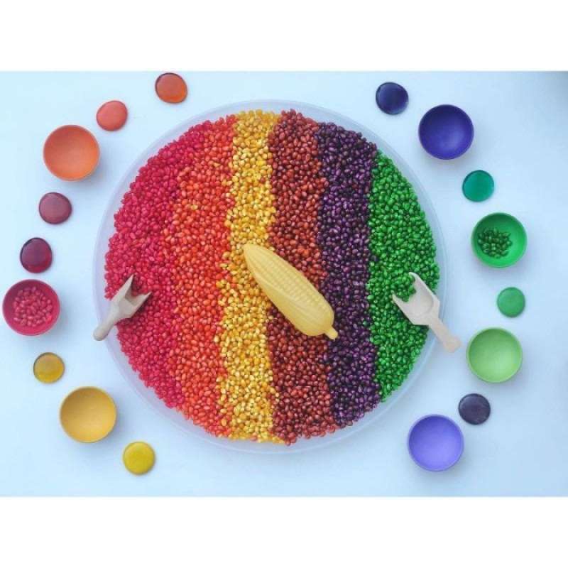 Jual Mainan Anak Montessori - Jagung Warna Warni - Rainbow Corn ...