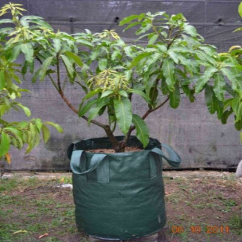 Jual Planter Bag 150 Liter Easy Grow Hijau 150L 150Liter L Pot Tanaman ...