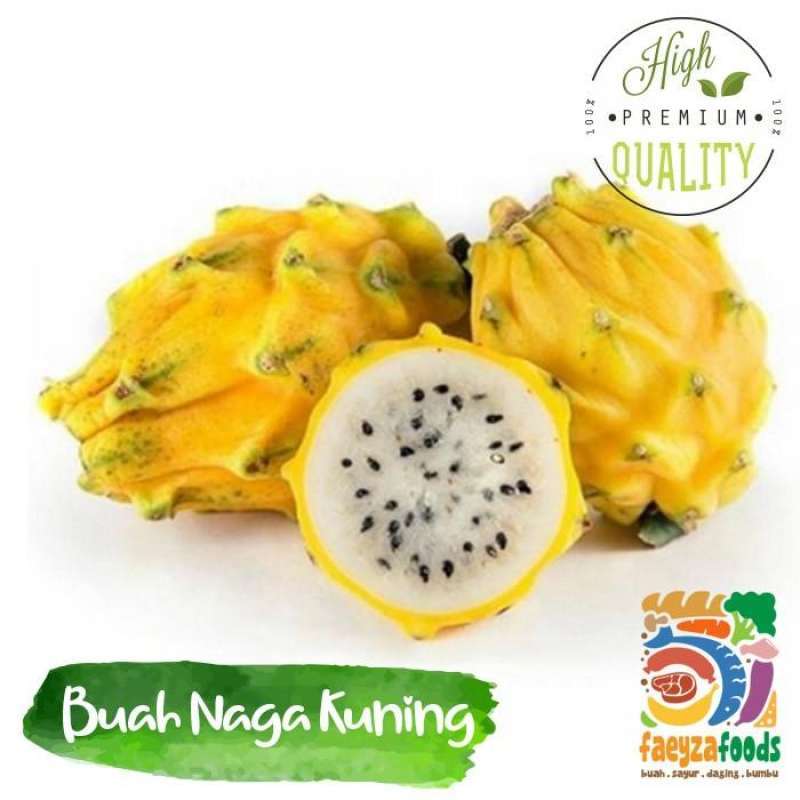 Jual Buah Naga Kuning Segar / Dragon Fruit Yellow / 300Gr / 1 Pcs Halal ...