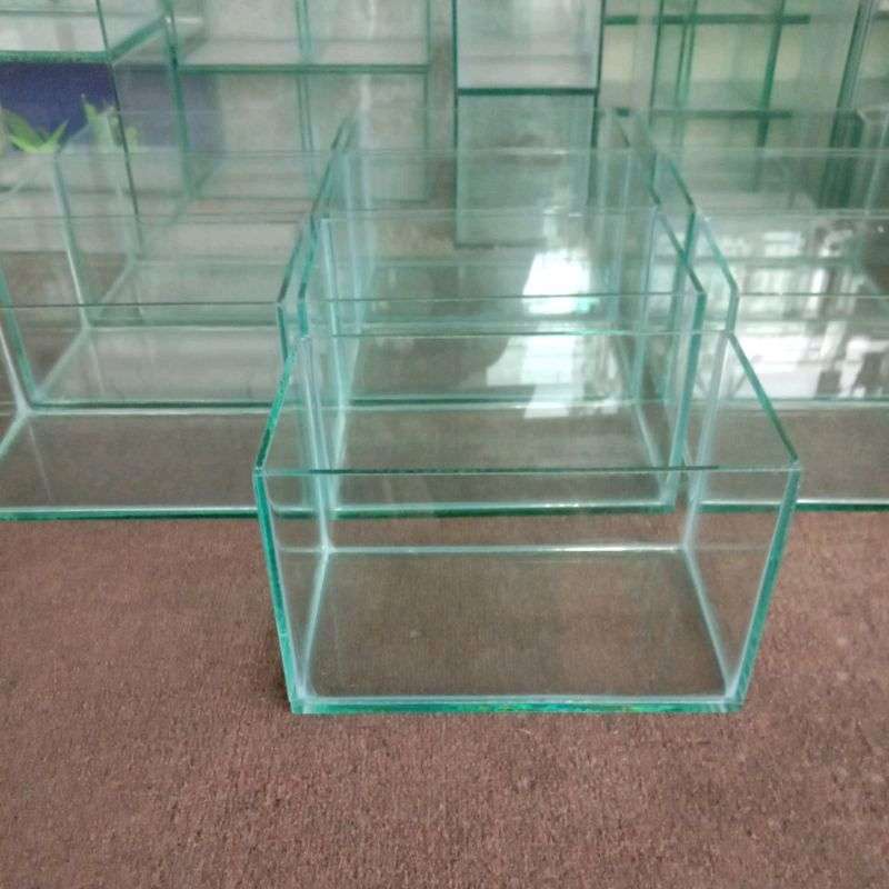 Jual Aquarium aquascape/soliter cupang 30x15x15 di Seller hijab_arrafiq ...