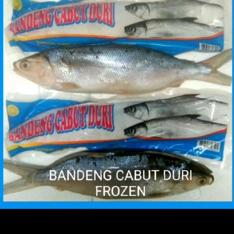 Jual Ikan Bandeng Cabut Duri Frozen Besar Halal di Seller ShrimpLovers ...
