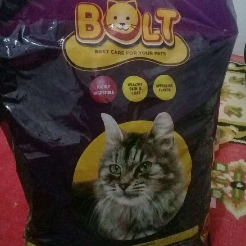 Jual BOLT CAT Bolt Makanan Kucing 250 gram di Seller Vlog Kucing ...