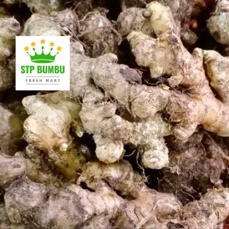 Jahe 1 Kg Segar Gratis Ongkir 🏷️ Harga Murah Juni 2026