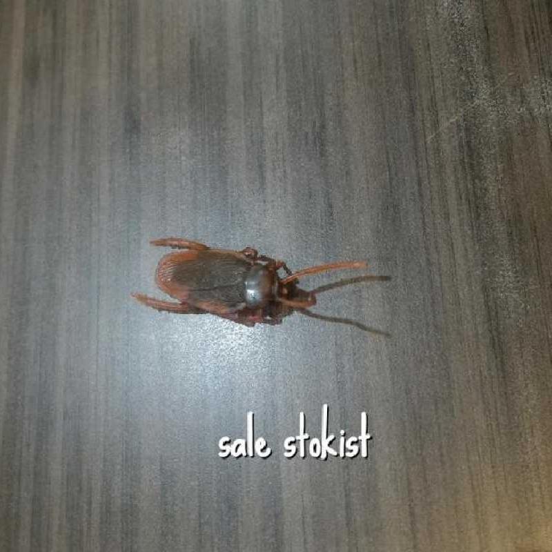 Jual Mainan anak kecoa cockroach prank di Seller Sale stoker - Kelapa ...