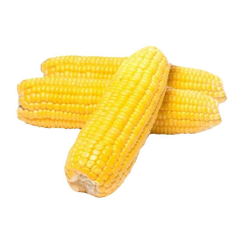Jual Sayuran Segar Rak Sayur Padang Buah Jagung Manis Kupas Super Fresh ...