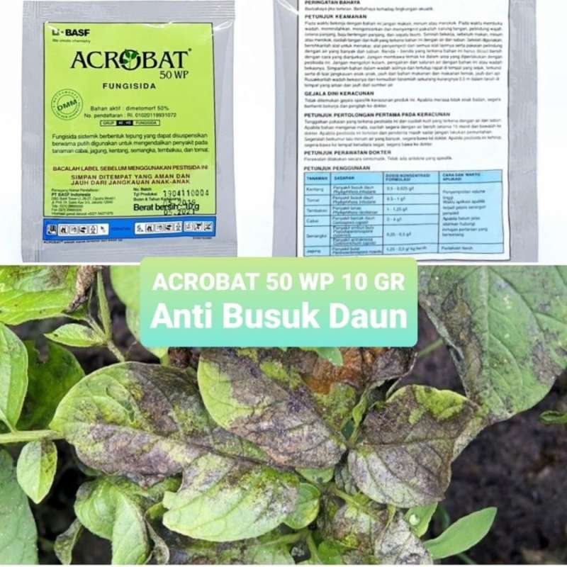 Jual Anti Jamur Tanaman Acrobat 50 WP 10 gram Fungisida Anti Busuk Daun di Seller Praline Shoppe ...