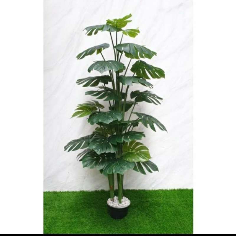 Jual POHON MONSTERA/BUNGA PLASTIK/BUNGA HIAS/MONSTERA JUMBO/BUNGA ...