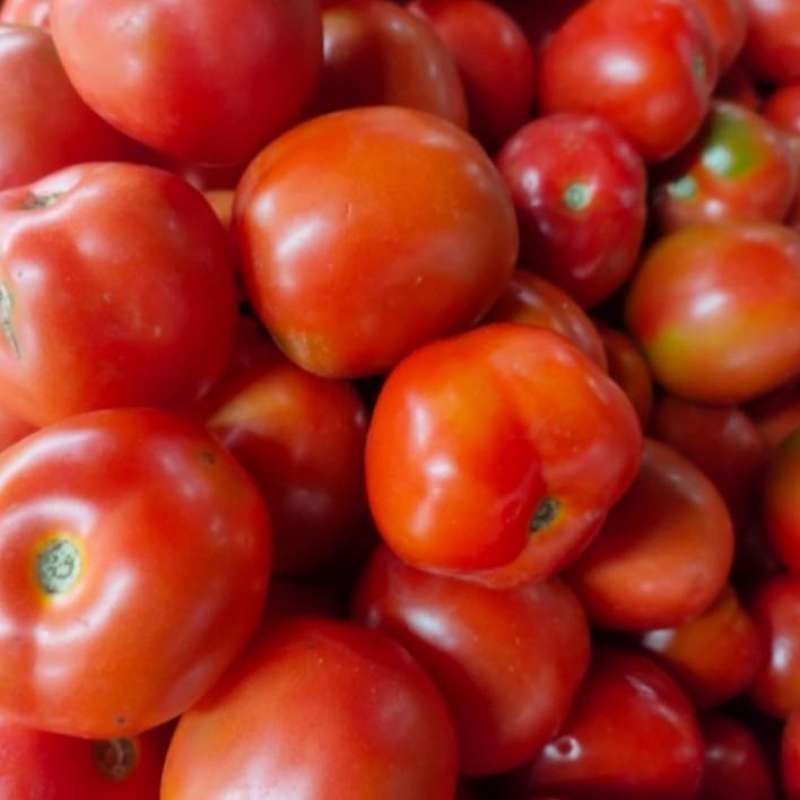 Jual TOMAT BUAH/1KG Halal di Seller Familys Fresh - Jalan tapian nauli ...