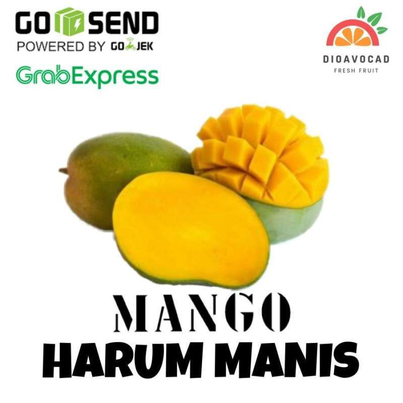 Jual mangga harum manis / buah mangga / mangga tua / 1kg di Seller ... Jual mangga harum manis / buah mangga / mangga tua / 1kg di Seller ...