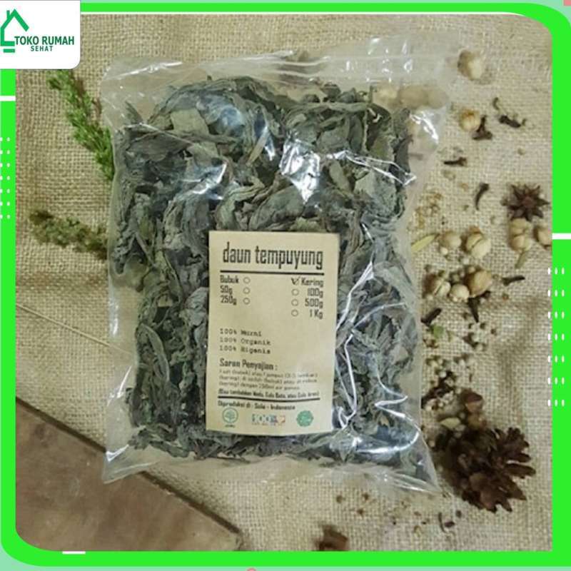 Jual DAUN TEMPUYUNG KERING 500 gr - Sonchus Arvensis - MURNI - JSR - di ...