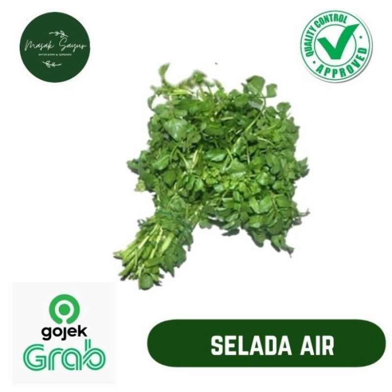 Selada Air 1 Ikat Gratis Ongkir 🏷️ Harga Murah Juli 2025