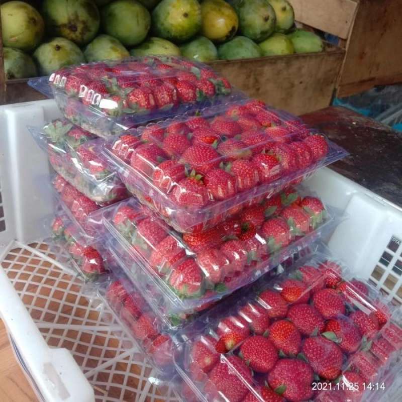 Jual Stroberi Strawberry Segar Manis Jumbo Kemasan 500 Gram 100 Gram ...