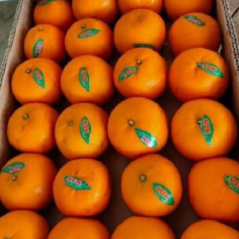 Jual Jeruk Mandarin Per 1Kg di Seller SR BUAH SEGAR - Kota Bandung, Jawa Barat | Blibli