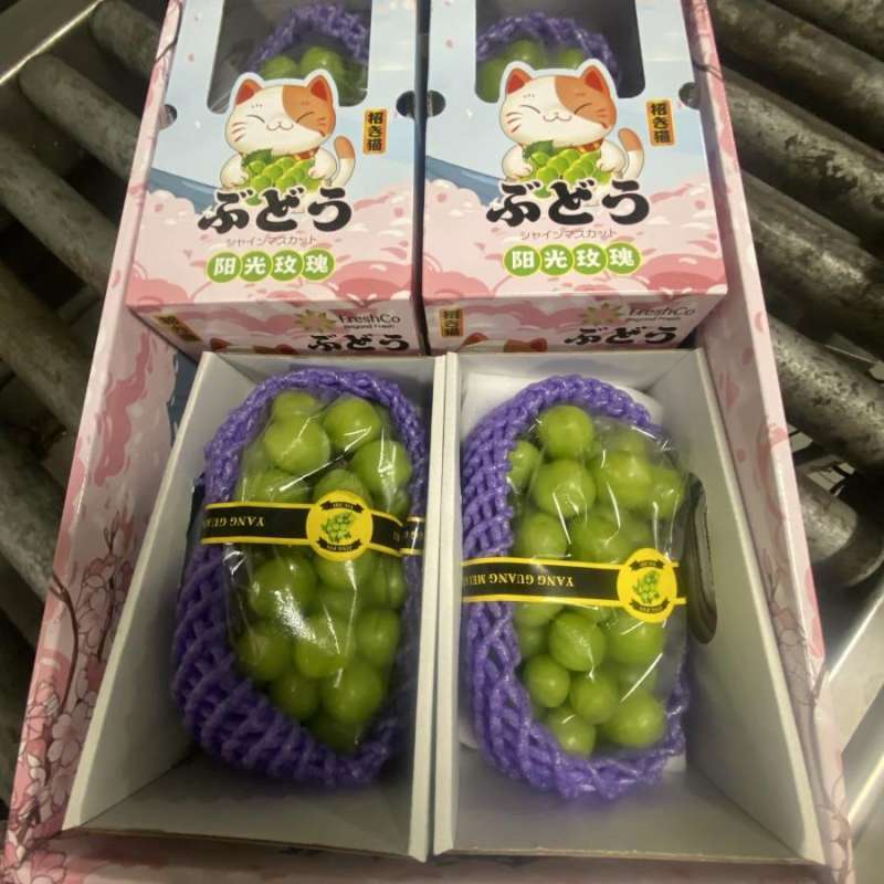 Jual Anggur Green Muscat Jumbo Manis Tampa Biji Dus Isi 4 Box Halal Di ...