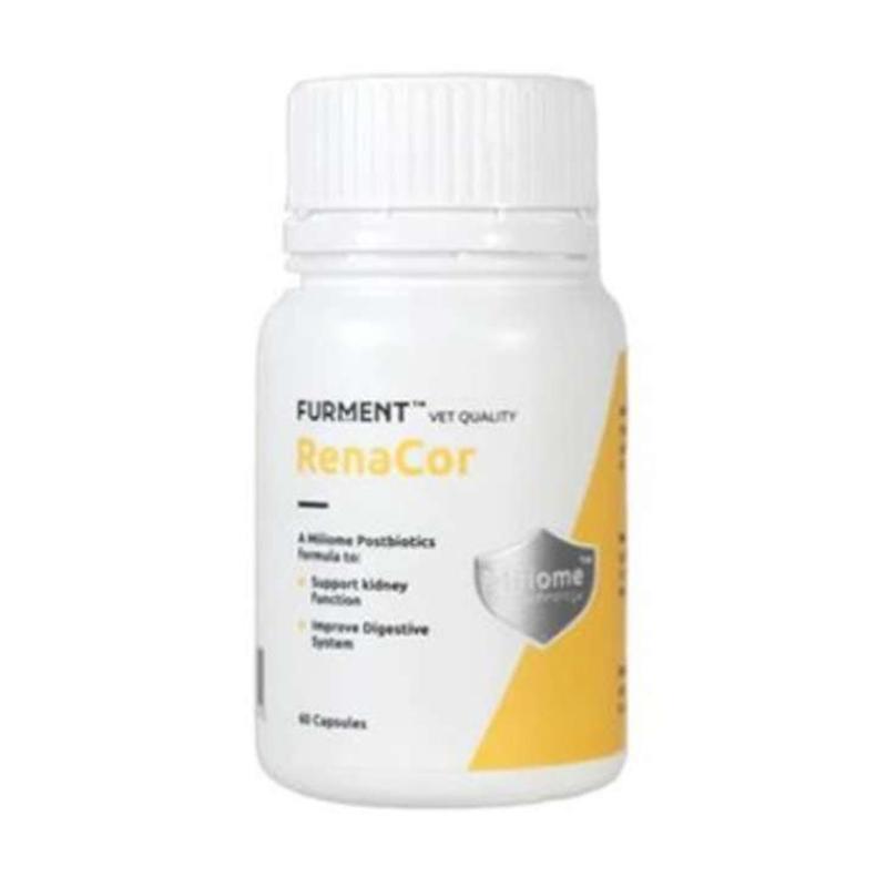 Promo Renacor Suplemen Ginjal Probiotik Anjing Kucing Seperti Azodyl ...