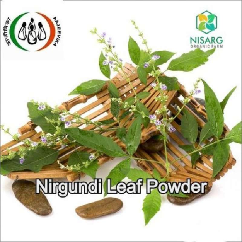 Jual Organic Nirgundi leaf powder |organic certified | for Supports ...