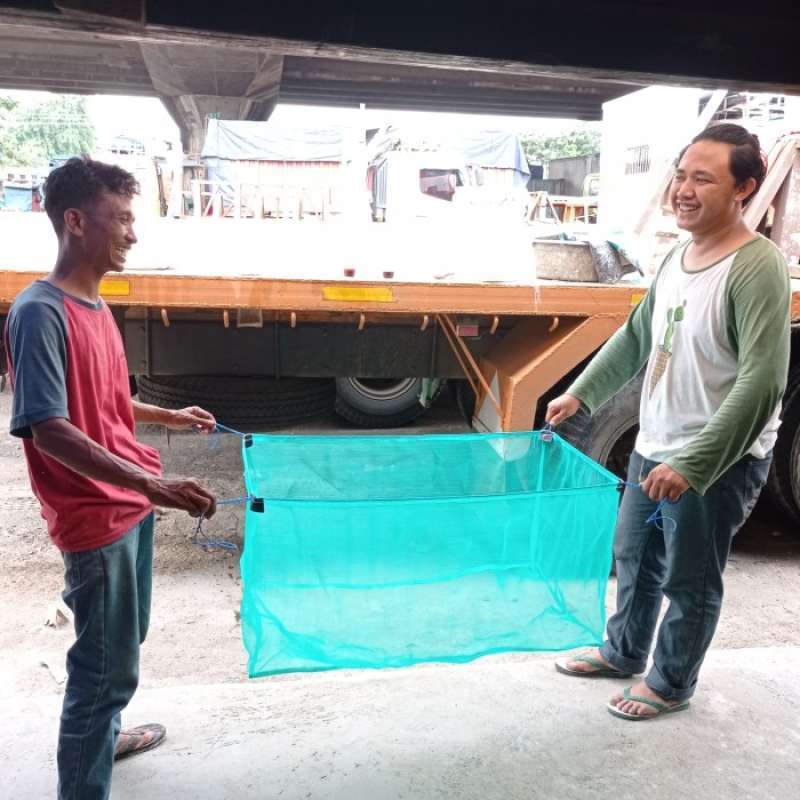 Jual Hapa Keramba Ikan Apung Ukuran 1X50X50 Jaring Keramba Kasa di ... Jual Hapa Keramba Ikan Apung Ukuran 1X50X50 Jaring Keramba Kasa di ...