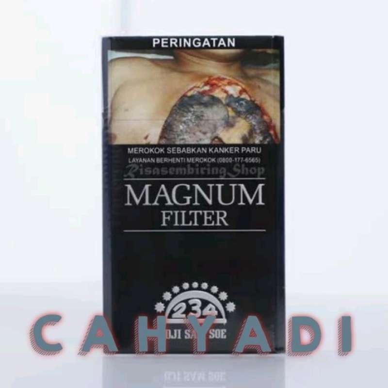 Jual Dji Sam Soe Magnum Filter 12 ( 10 Bungkus/ Slop ) Di Seller ...